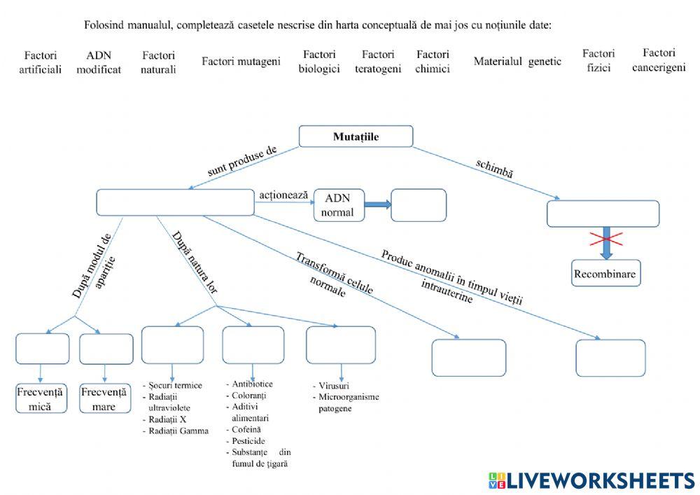 Factori mutageni | SirbuCristina | Live Worksheets