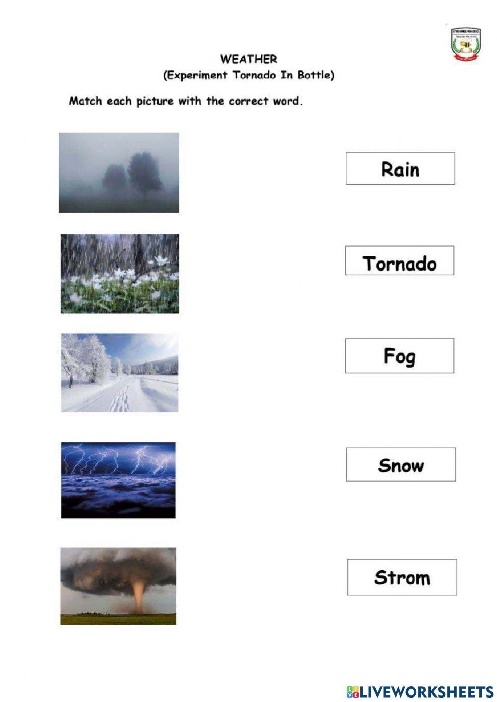 Weather online exercise for 1 | Live Worksheets