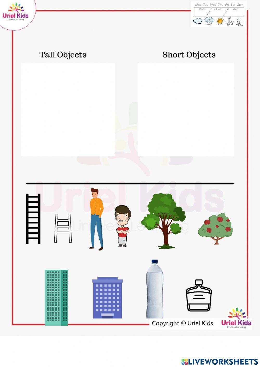 Tall and Short … | Free Interactive Worksheets | 3262973