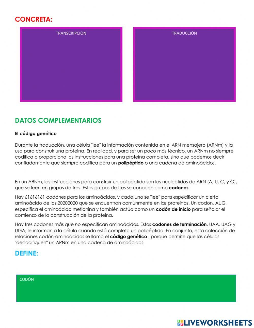 Guia 02 decimo worksheet | Live Worksheets