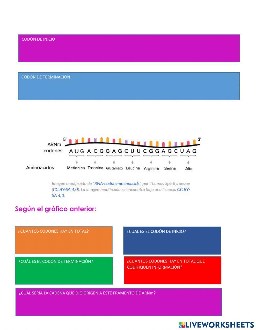 Guia 02 decimo worksheet | Live Worksheets