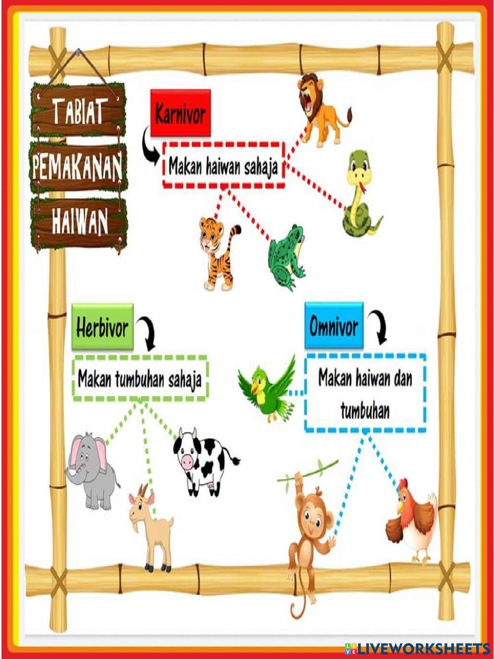 Tabiat Pemakanan Haiwan 1226441 | syikin28 | Live