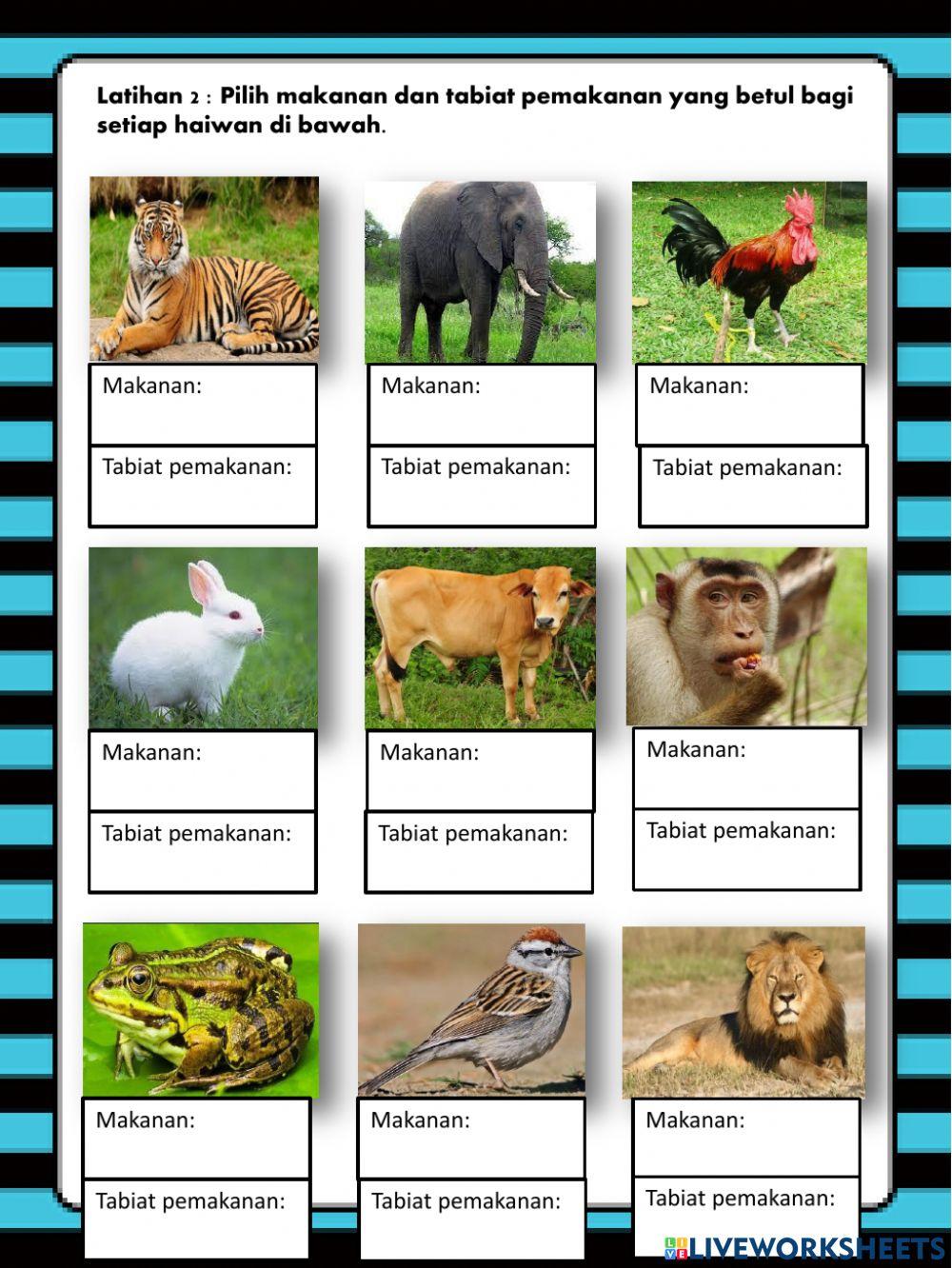 Tabiat Pemakanan Haiwan 1226441 | syikin28 | Live