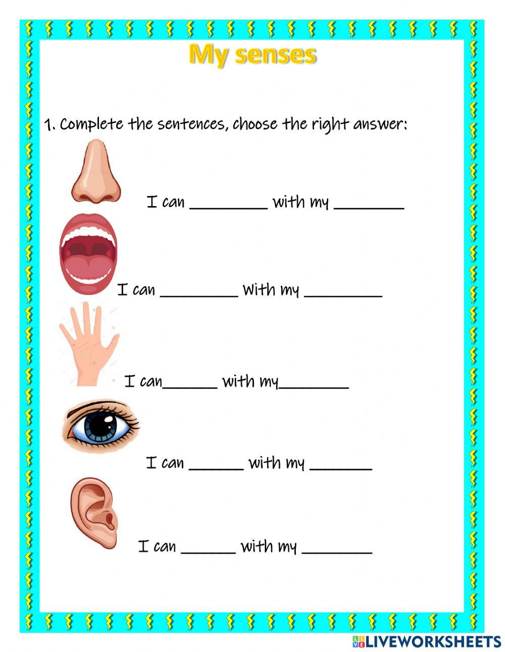 My senses online exercise | Live Worksheets