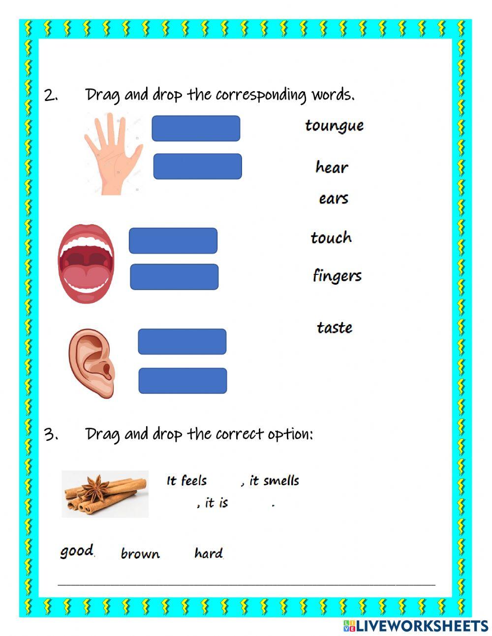 My senses online exercise | Live Worksheets
