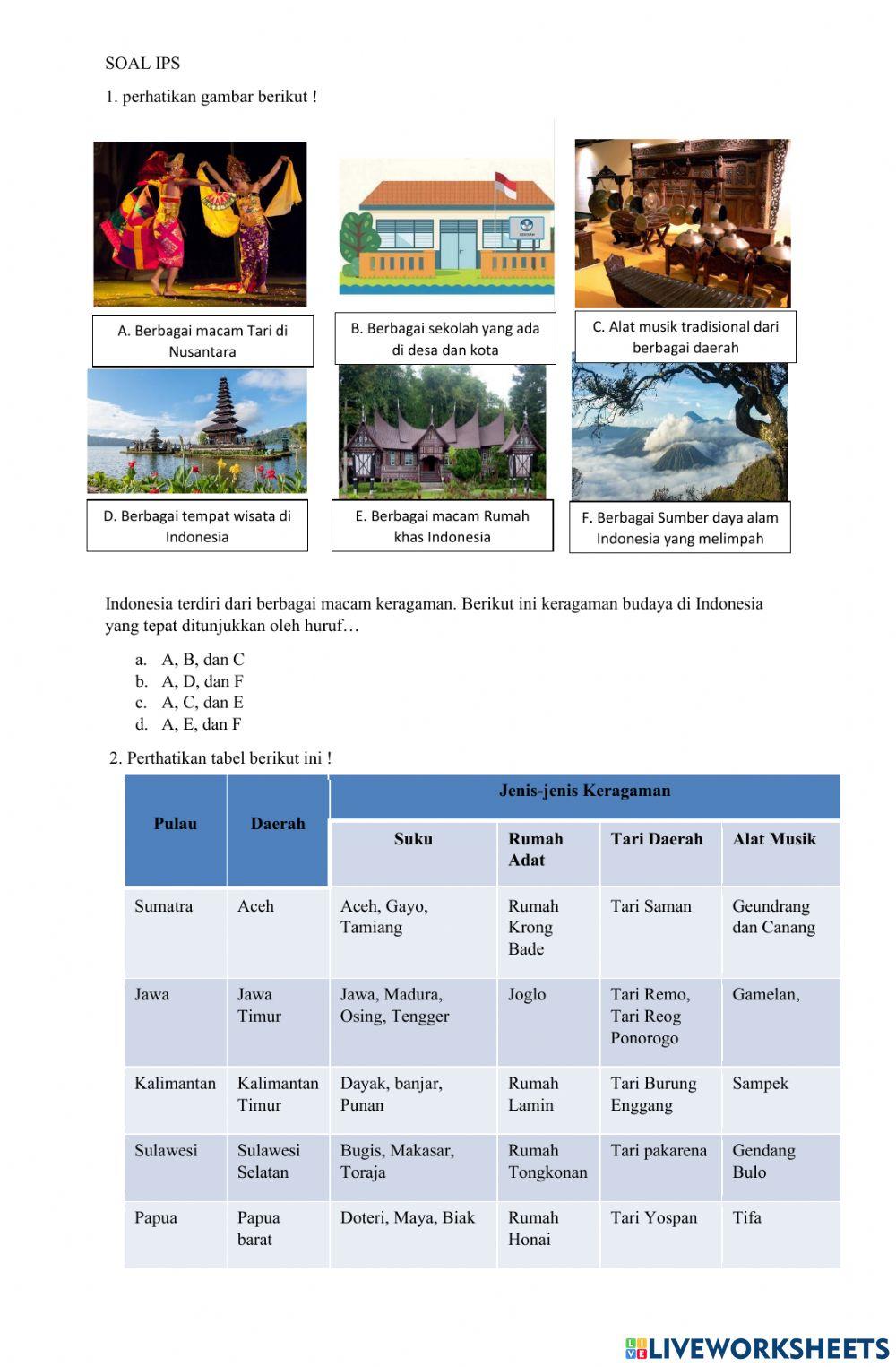 Ph tema 1 ips interactive worksheet | Live Worksheets