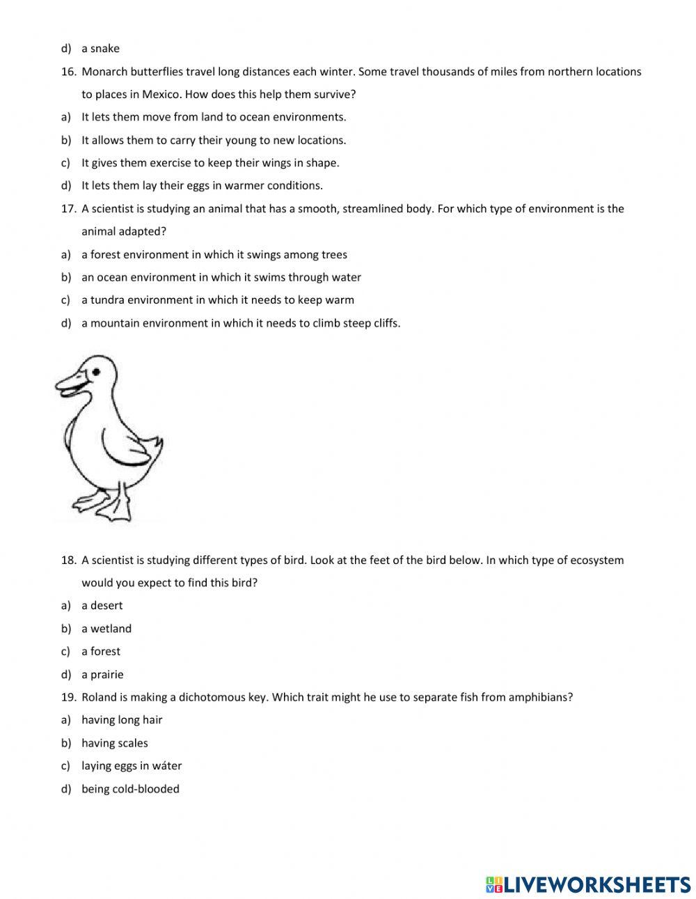 6th grade- science diagnostic- teacher gabriela worksheet | Live Worksheets