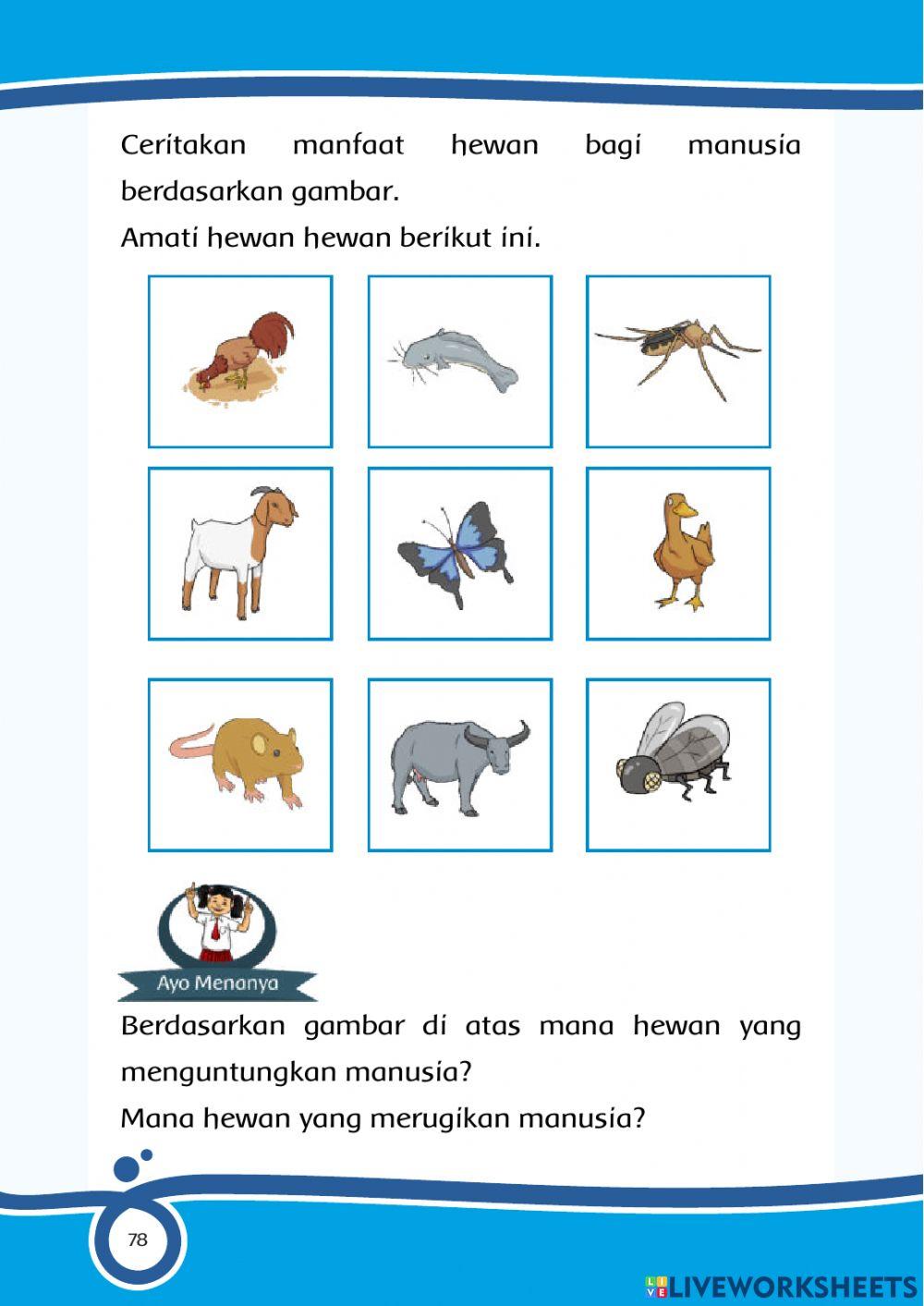 30 agustus 3346597 | Devi Nurmalasari | Live Worksheets