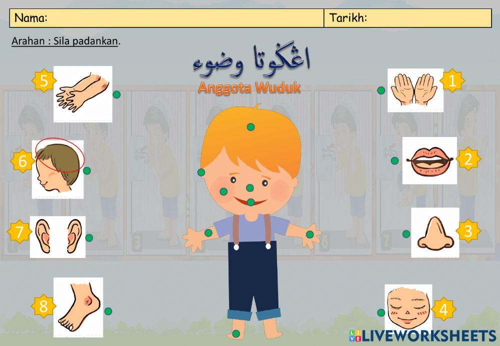 Latihan Wudhu worksheet | Live Worksheets