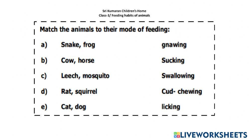 class-3 feeding habits of animals online exercise for | Live Worksheets