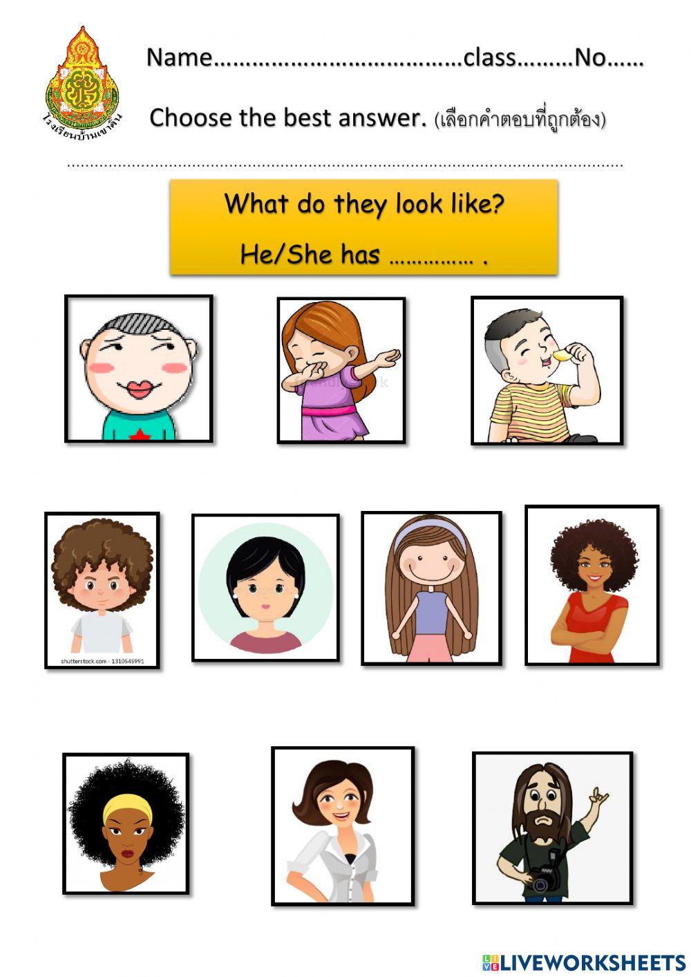 1328522 | What do they look like? | Wijittra2021