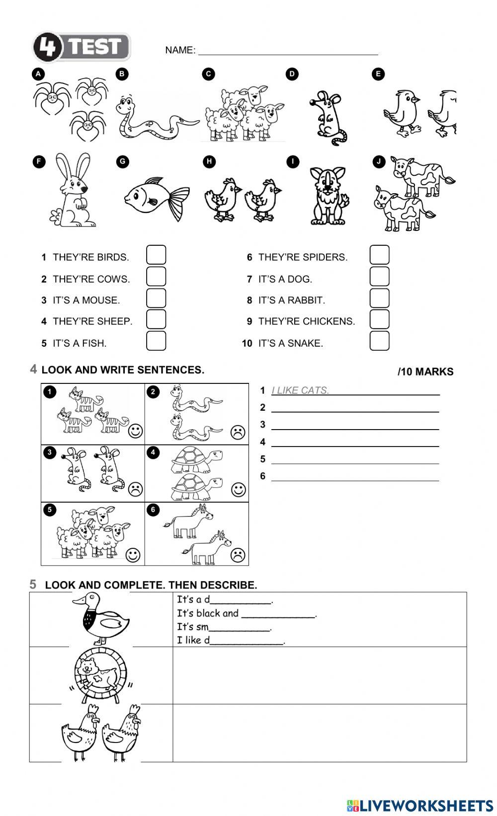 Test Unit 4 - B… | Free Interactive Worksheets | 6698049