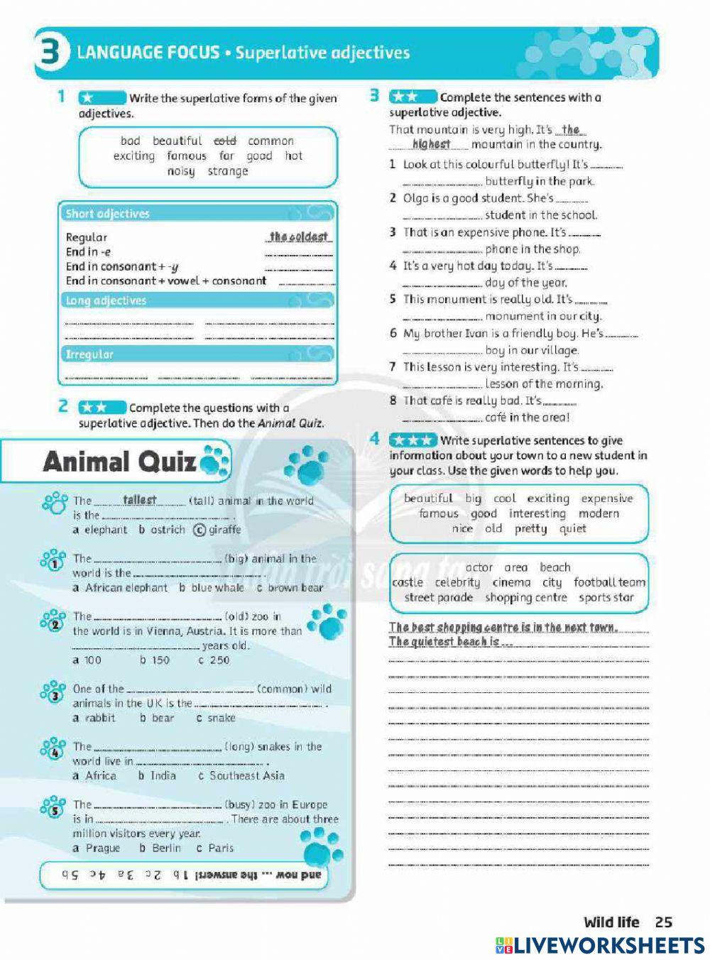 Tiếng Anh 6 Friends Plus - Workbook P2 worksheet | Live Worksheets