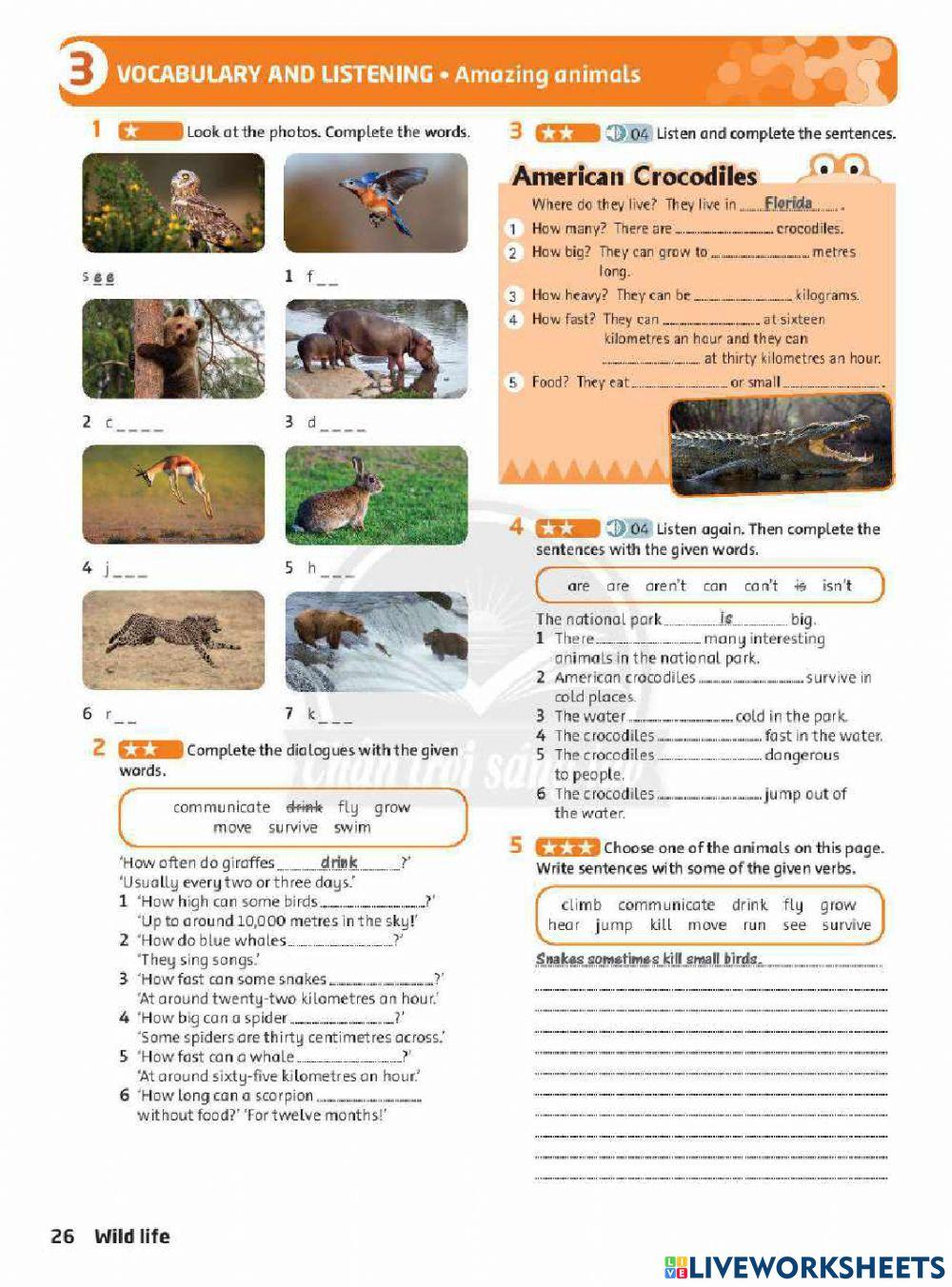 Tiếng Anh 6 Friends Plus - Workbook P2 worksheet | Live Worksheets