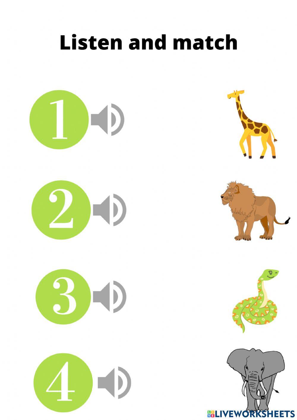 Animals listen and match activity | Live Worksheets
