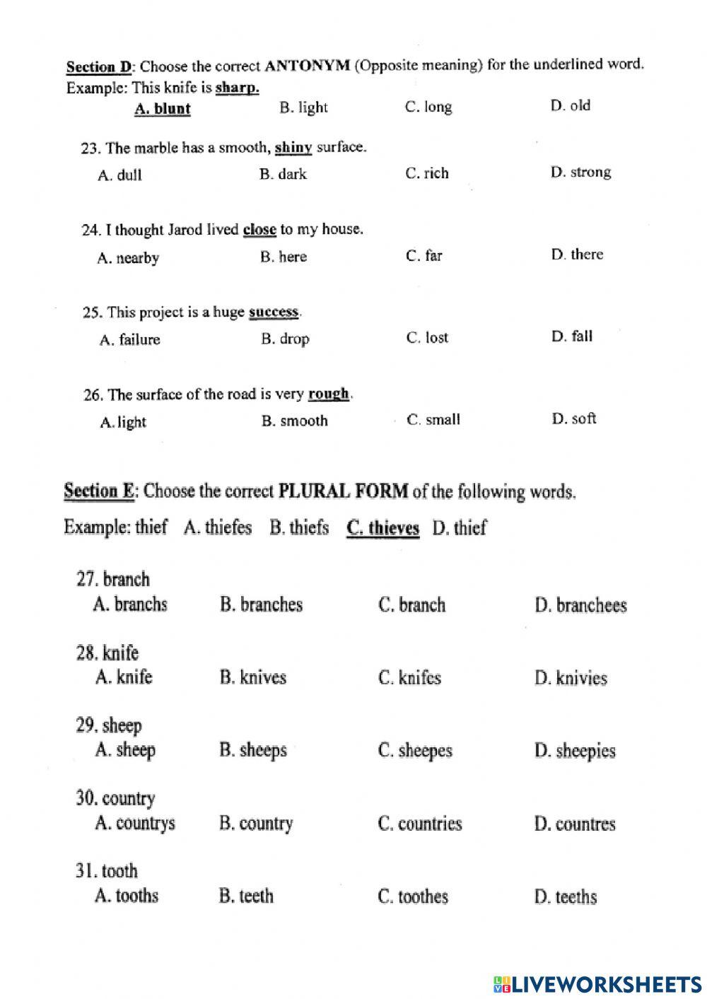 rough surface synonyms