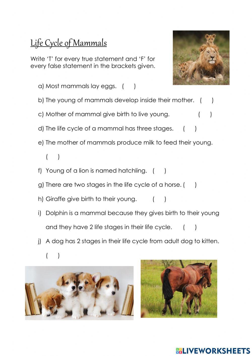 life cycle worksheets year 5