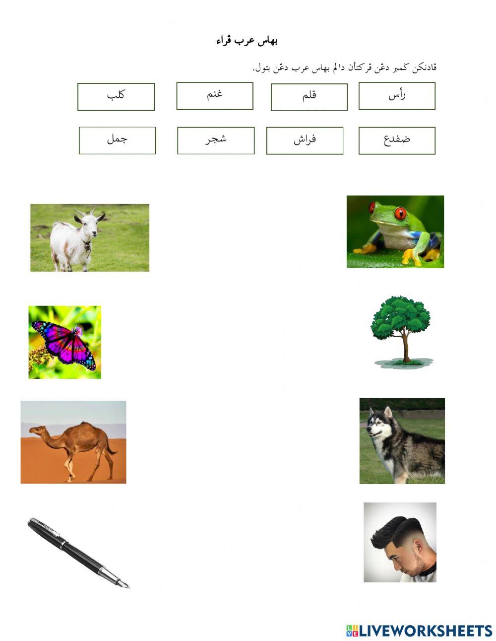 Bahasa Arab Pra interactive worksheet | Live Worksheets