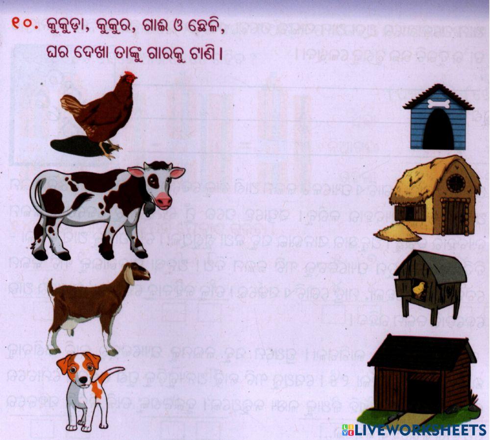 Ghara worksheet | Live Worksheets