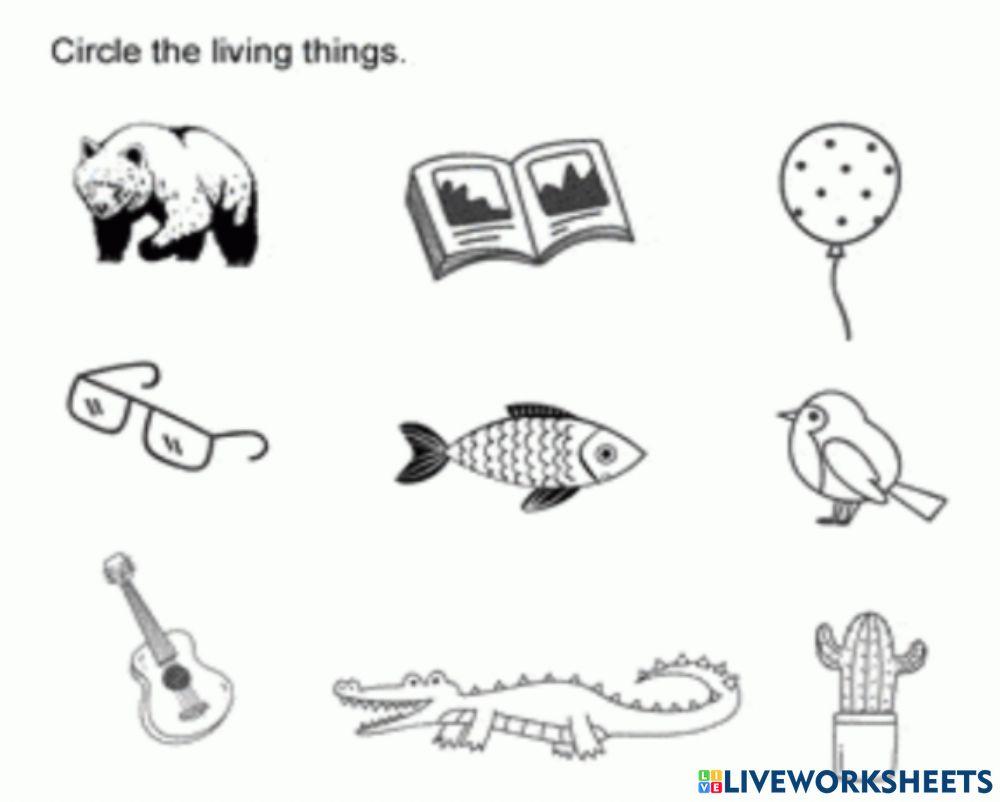 Circle the living things worksheet | Live Worksheets