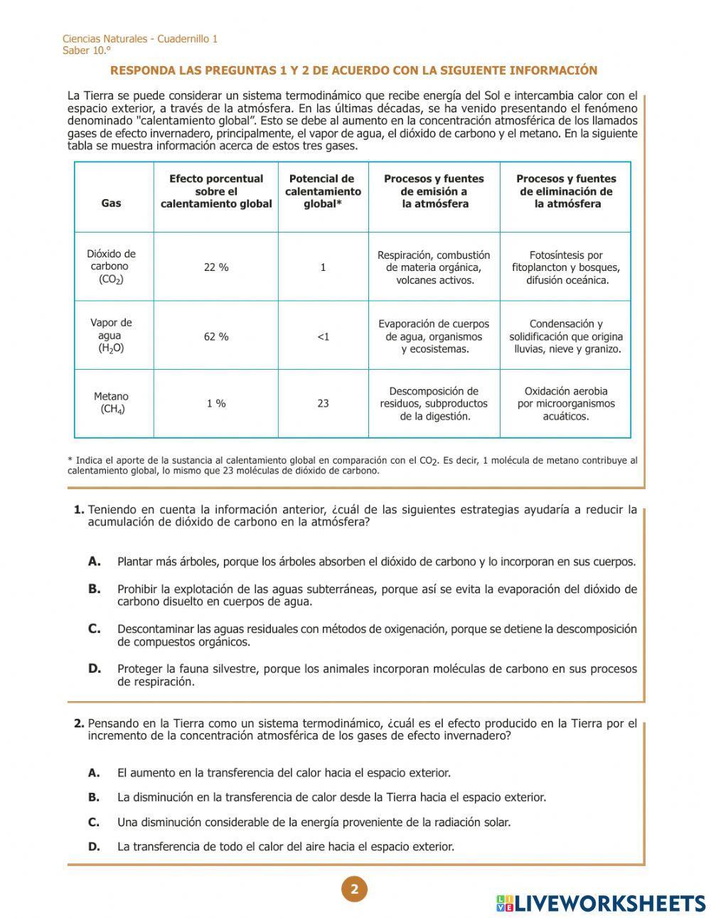 Pruebas 311 worksheet | Live Worksheets