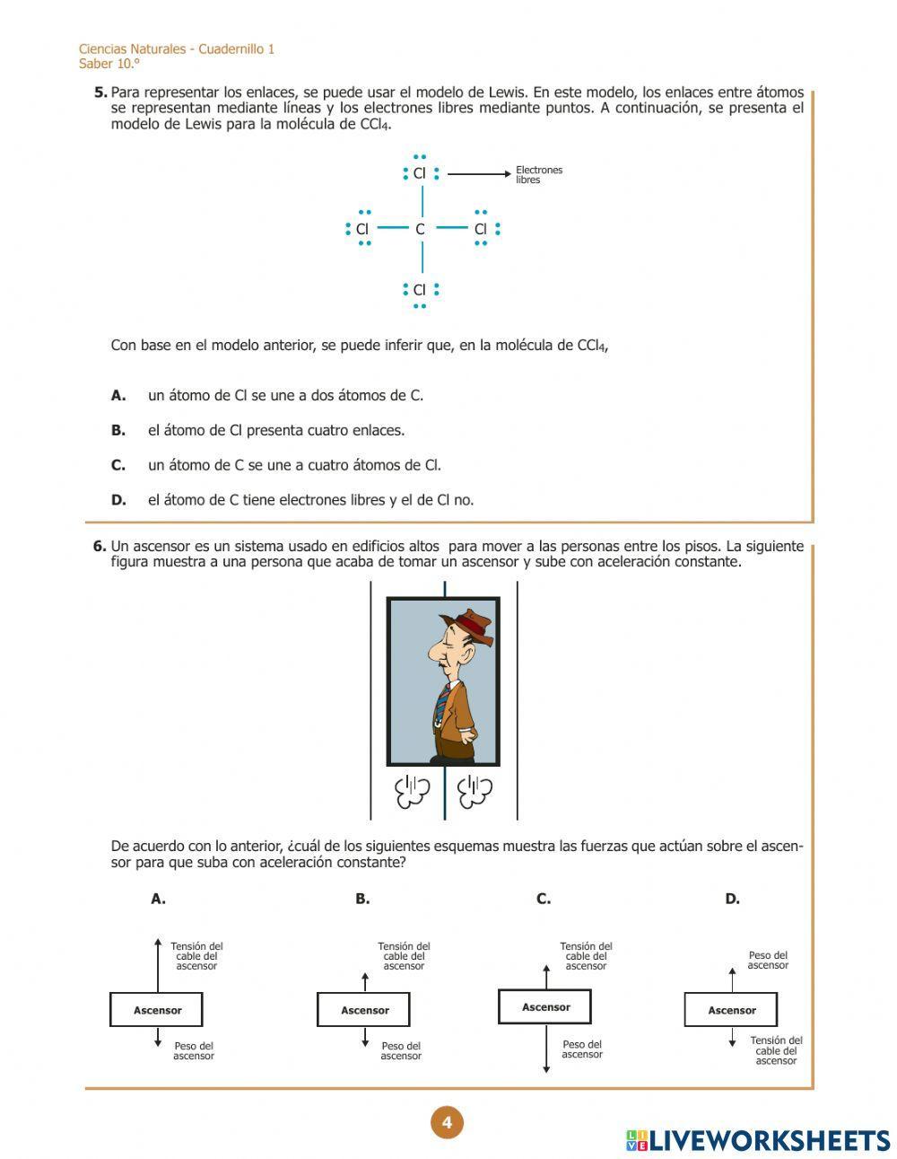 Pruebas 311 worksheet | Live Worksheets
