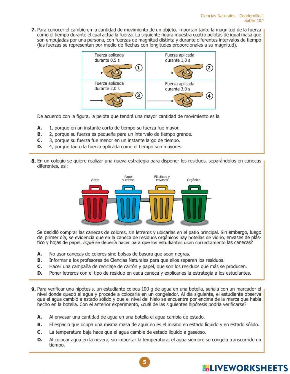 Pruebas 311 worksheet | Live Worksheets