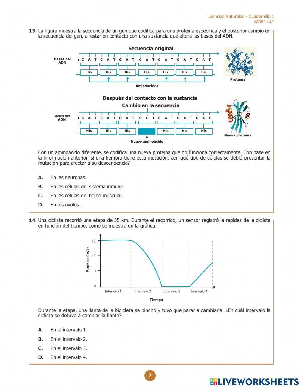 Pruebas 311 worksheet | Live Worksheets
