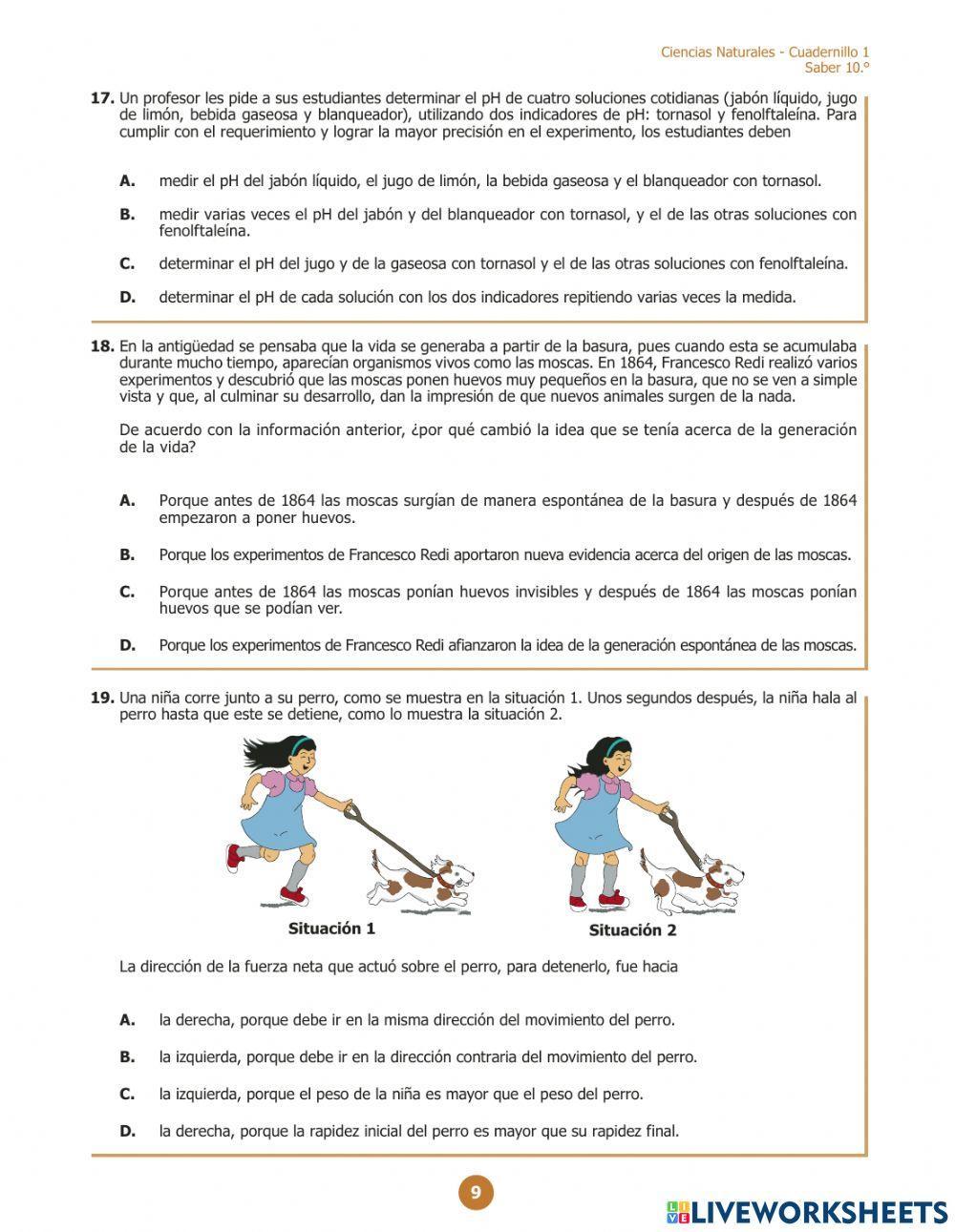 Pruebas 311 worksheet | Live Worksheets