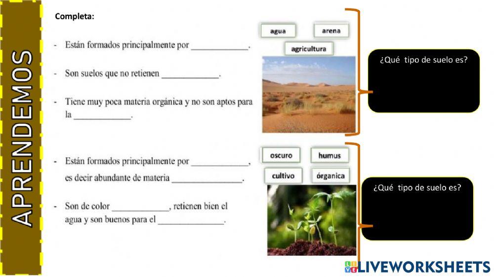 Tipos De Suelo Interactive Worksheet Tipos De Suelo Clases De Suelo ... Tipos De Suelo Interactive Worksheet Tipos De Suelo Clases De Suelo ...