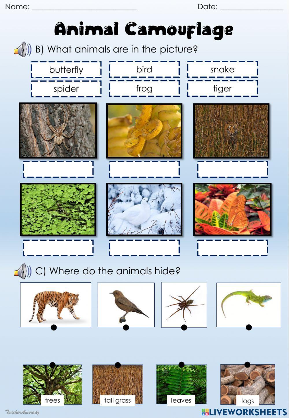 Top 10 Animals With Camouflage So Good They're Basically, 50% OFF Top 10 Animals With Camouflage So Good They're Basically, 50% OFF