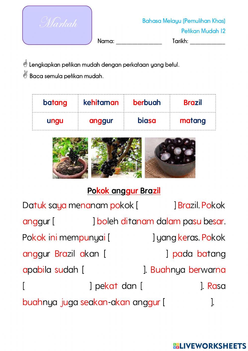 Bacaan dan Pemahaman T5 exercise | Live Worksheets