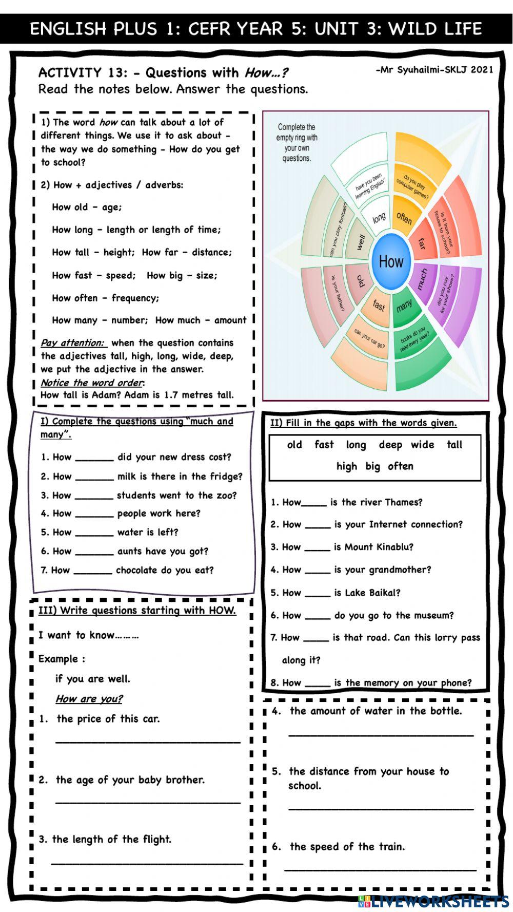 Questions with How...? worksheet | Live Worksheets