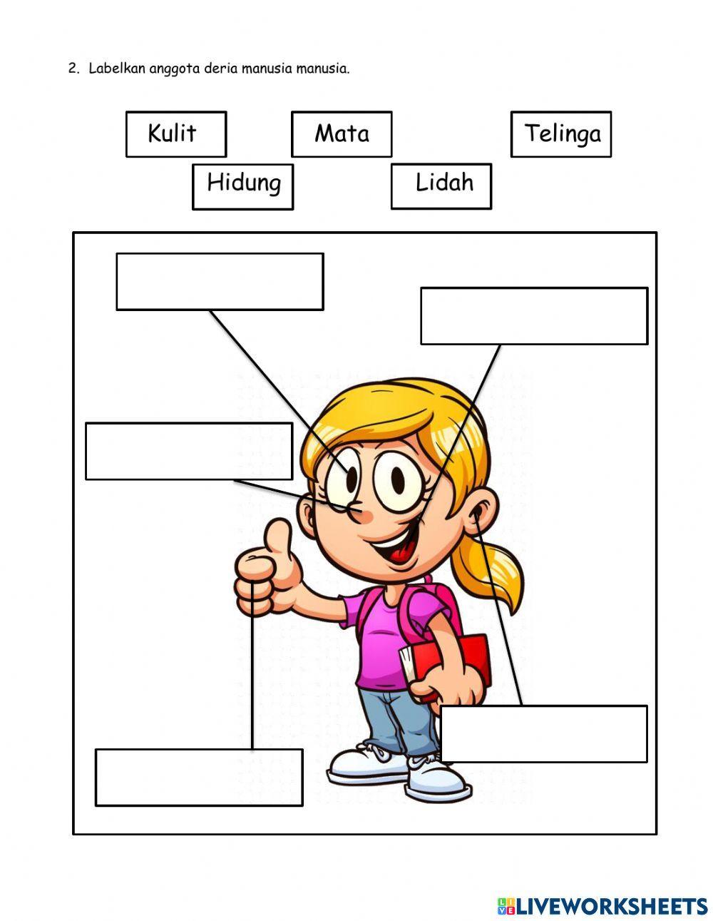 5 deria | Nurfazira binti Abd Rahman | Live Worksheets