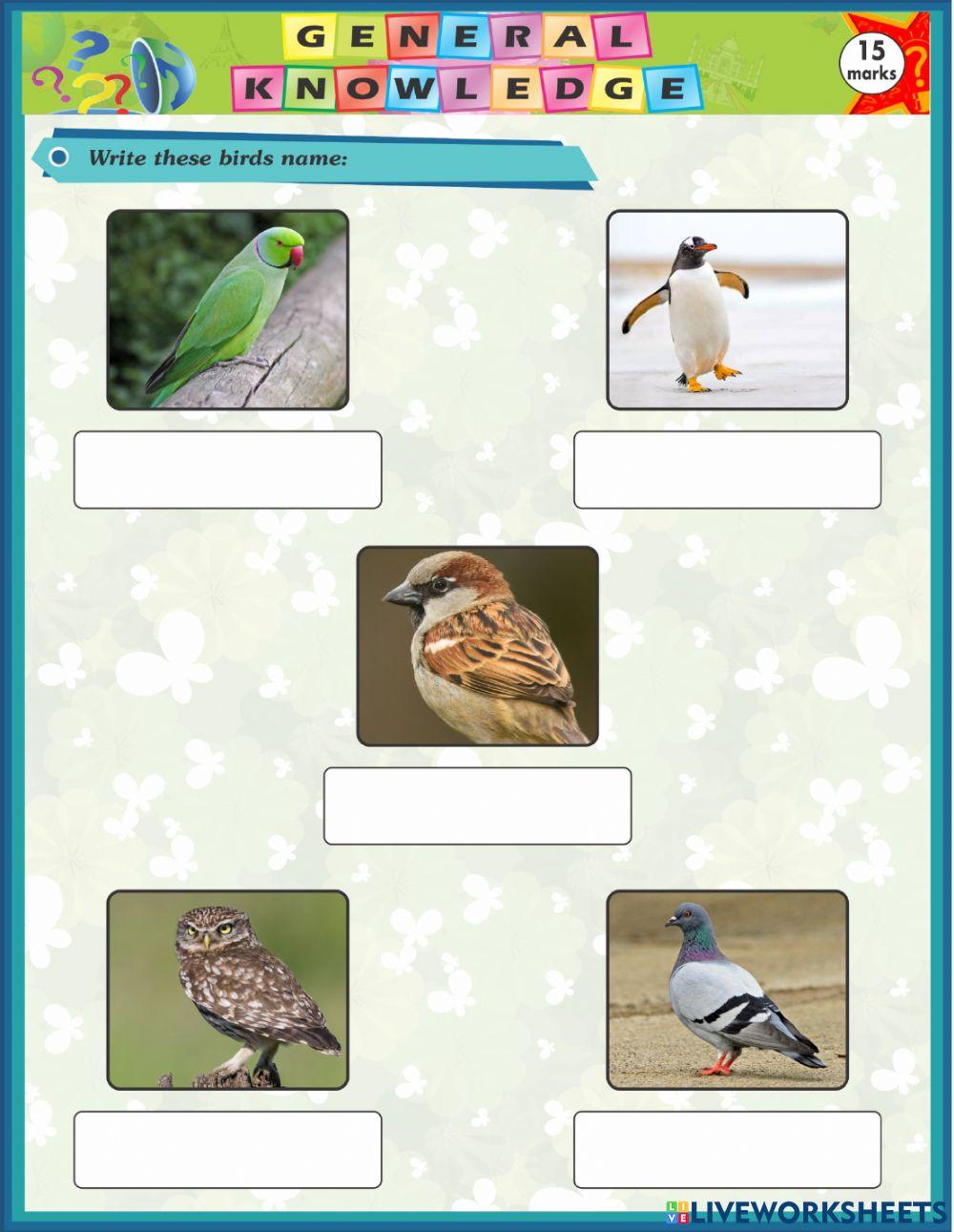 2ND CLASS QUESTION PAPER CQ 2021 5115361 | conquestexam