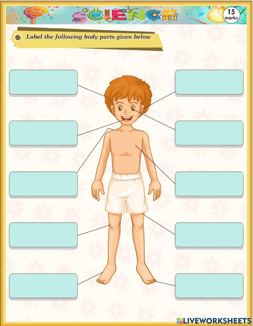 2ND CLASS QUESTION PAPER CQ 2021 5115361 | conquestexam