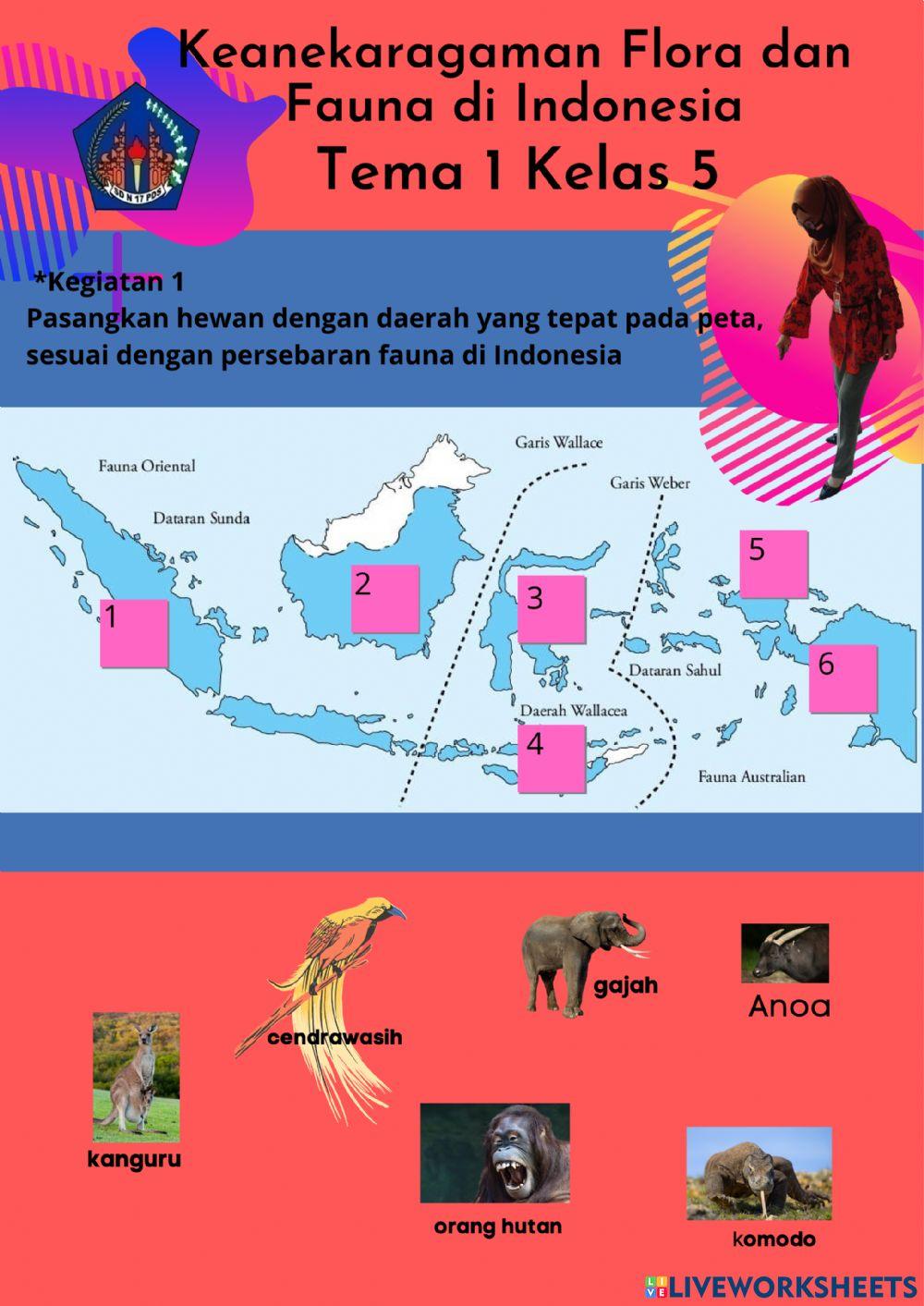 Flora fauna interactive worksheet | Live Worksheets