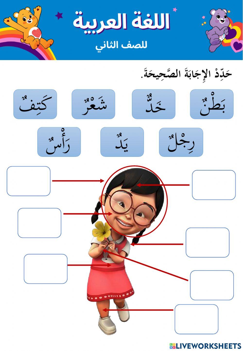 Anggota Tubuh Badan Interactive Worksheet Live Worksh - vrogue.co