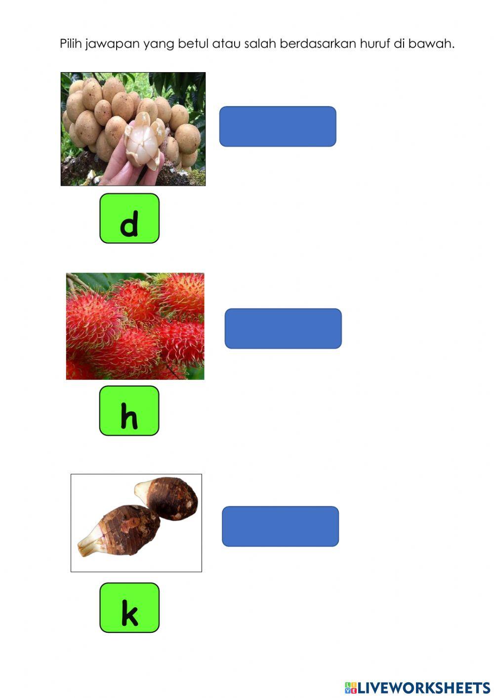 Membaca dan menulis worksheet | Live Worksheets