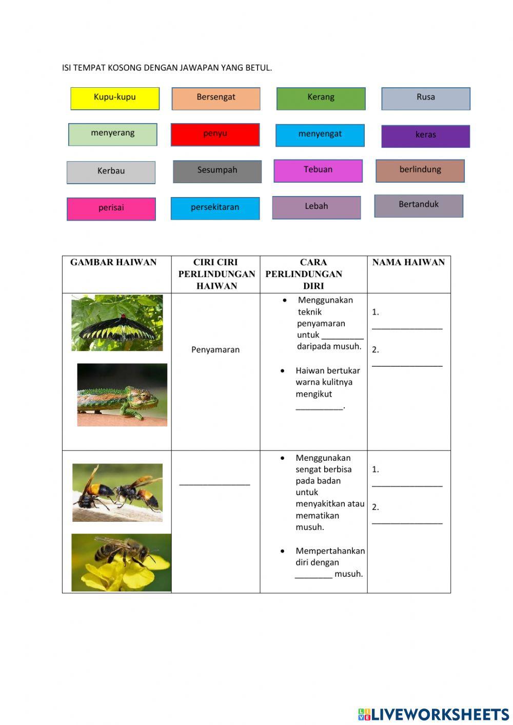 Haiwan online exercise for RENDAH | Live Worksheets