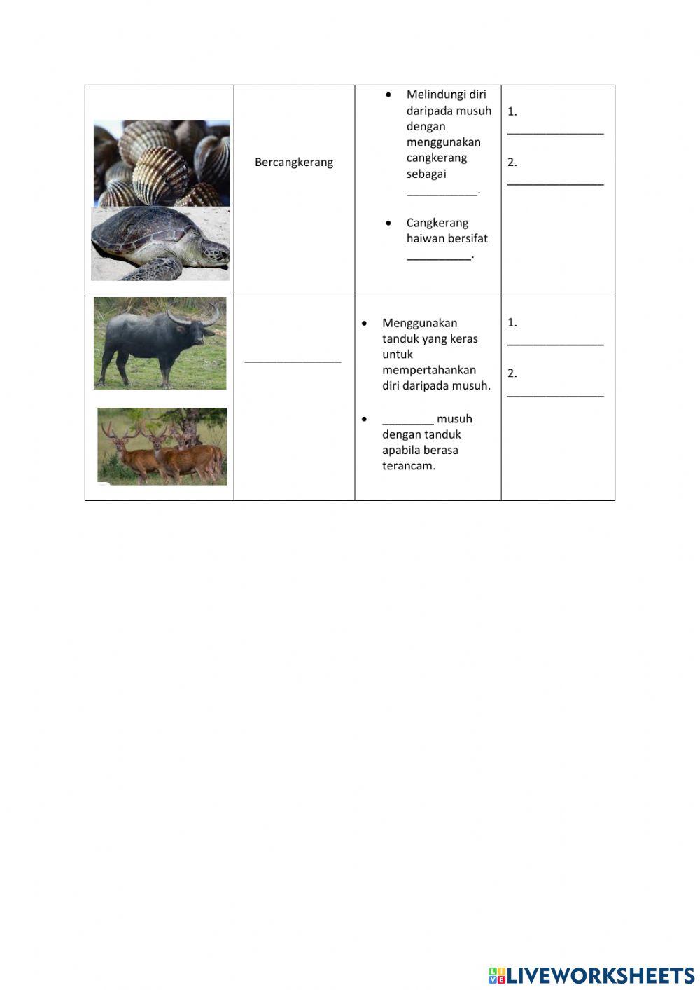 Haiwan online exercise for RENDAH | Live Worksheets