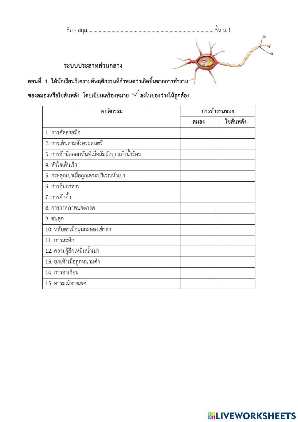 Human Anatomy worksheet | Live Worksheets
