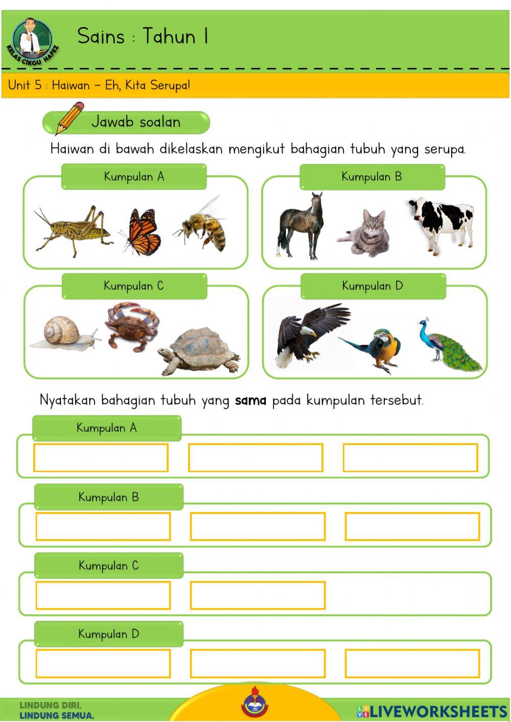 Sains T1 - Kita Serupa worksheet | Live Worksheets