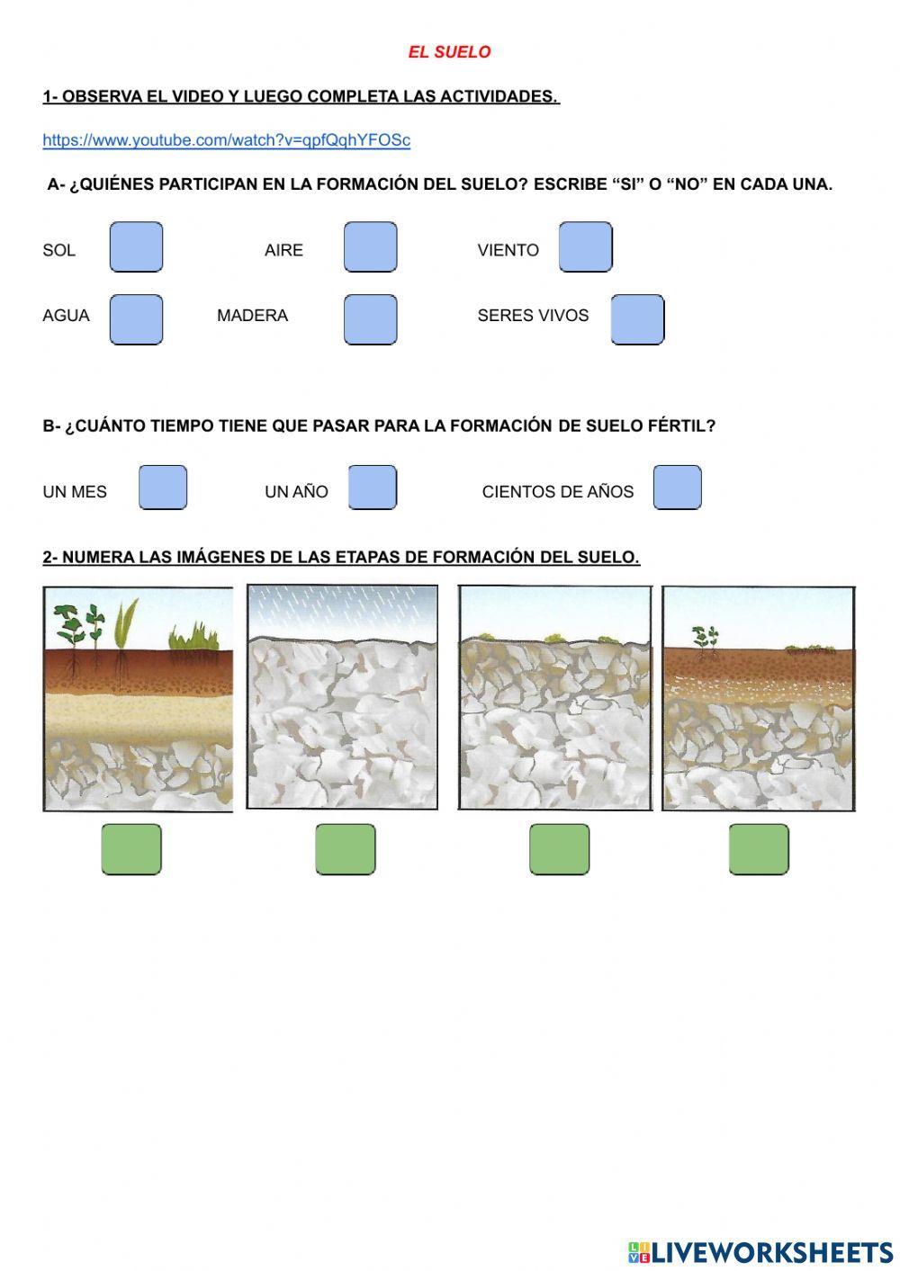 El Suelo Free Online Activity Live Worksheets