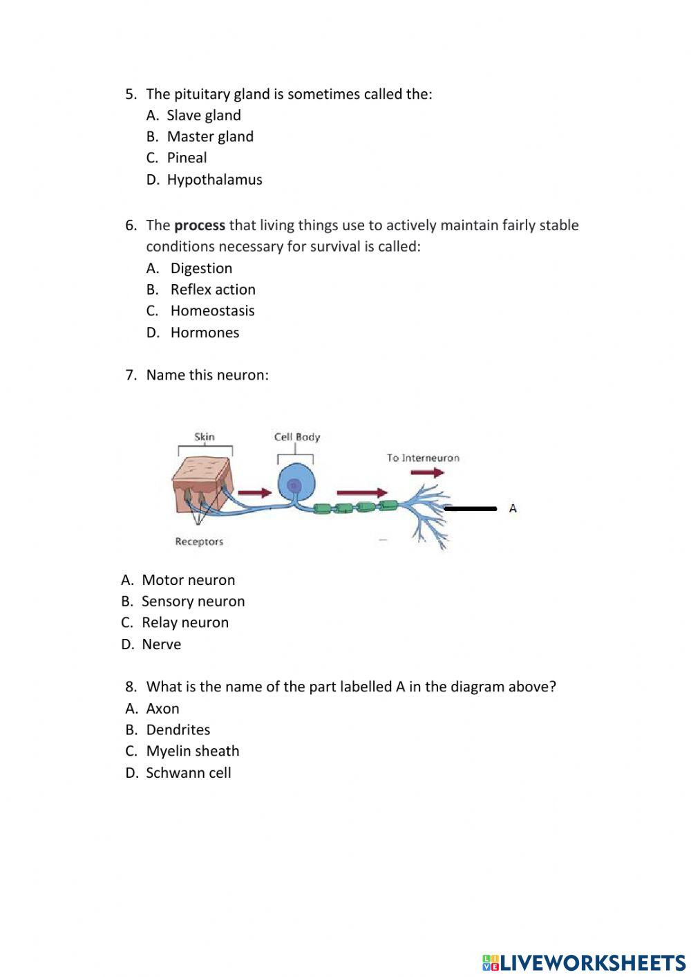 1235159 | Quiz | Sunil Chand | LiveWorksheets