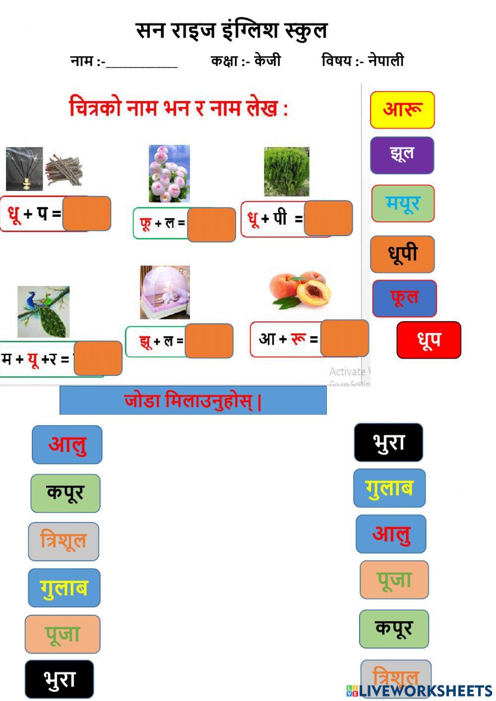 1236560 | Nepali worksheet | Sabitri | LiveWorksheets
