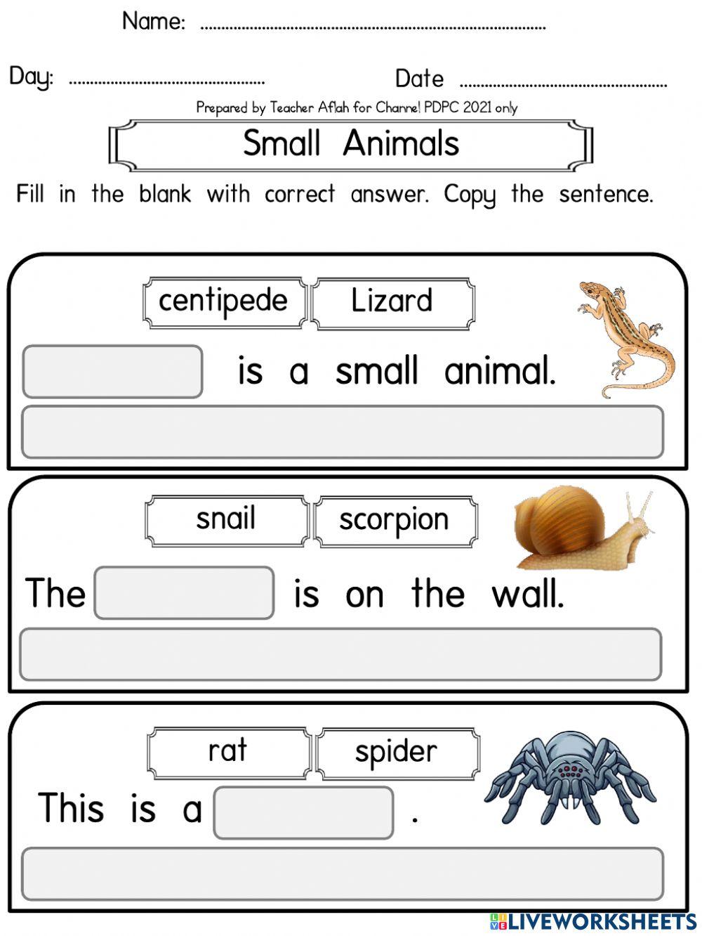 smallest animals name