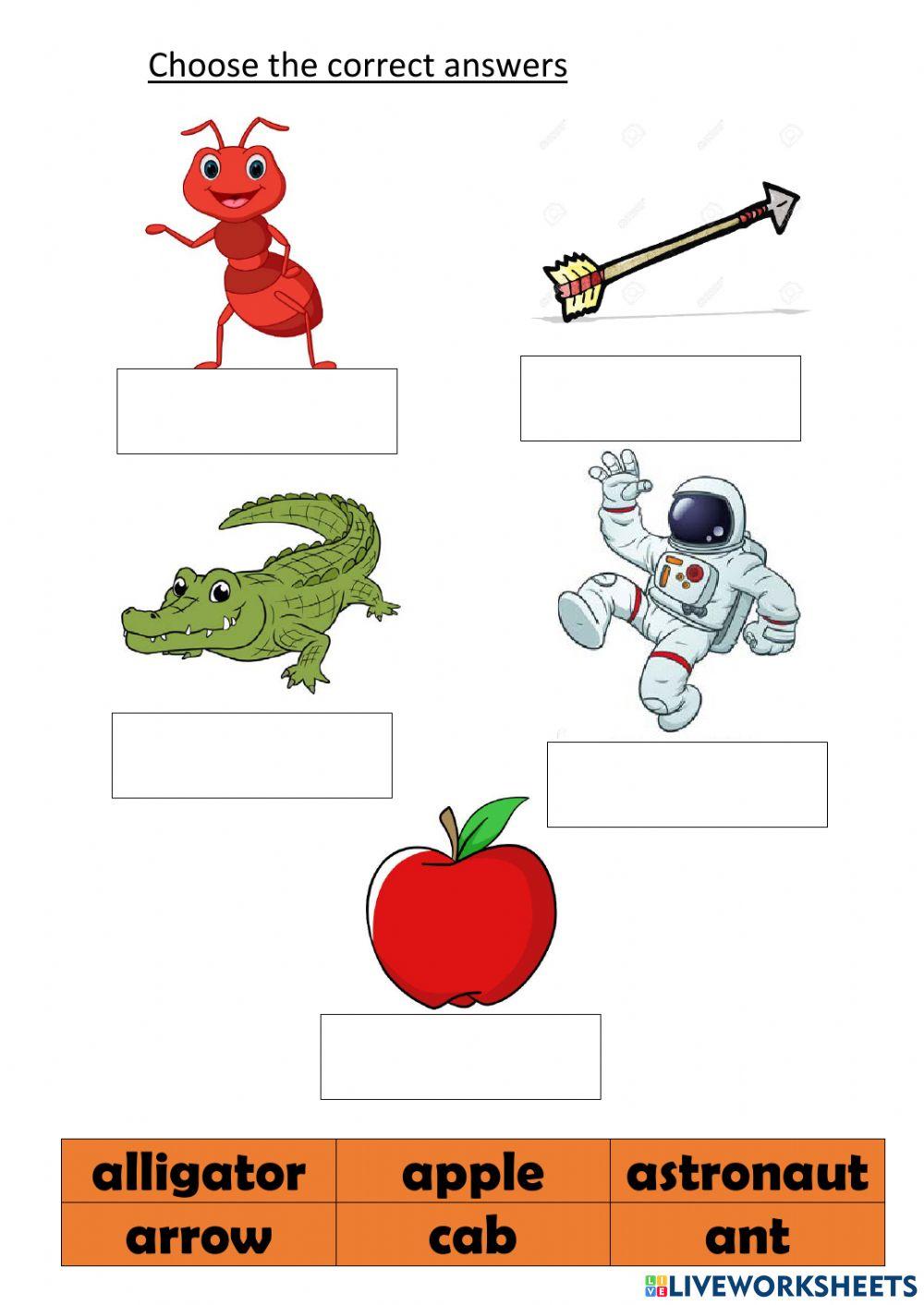 A & c worksheet | Live Worksheets