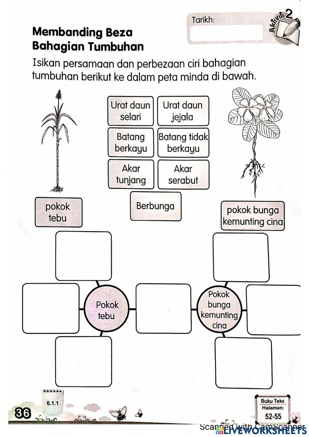 Kenali Bahagian… | Free Interactive Worksheets | 1239350