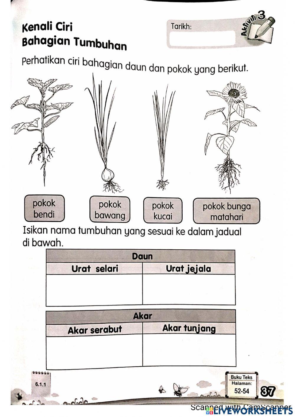 Kenali Bahagian… | Free Interactive Worksheets | 1239350
